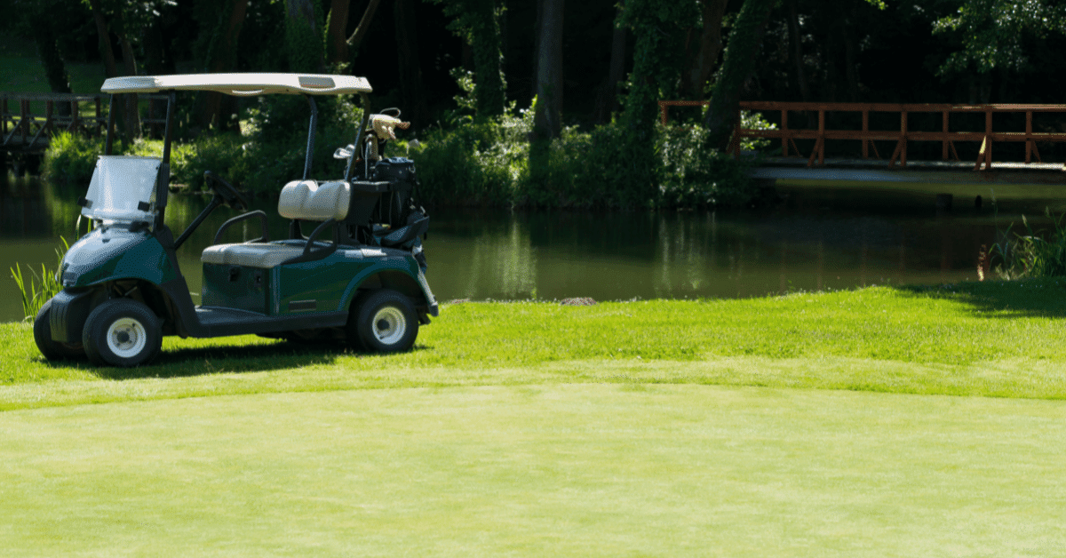 Custom Golf Carts Are Essential For Professional Golfers!