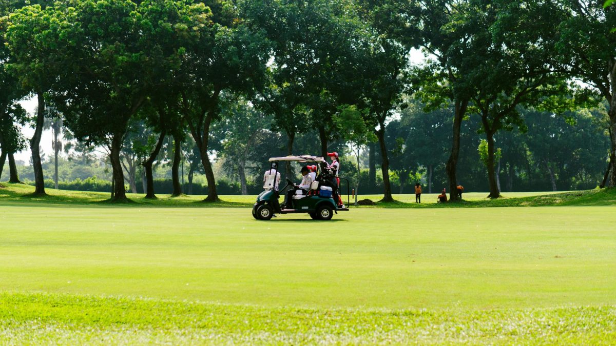 Eco-Friendly Advancements in Modern Golf Cart Technology | South ...
