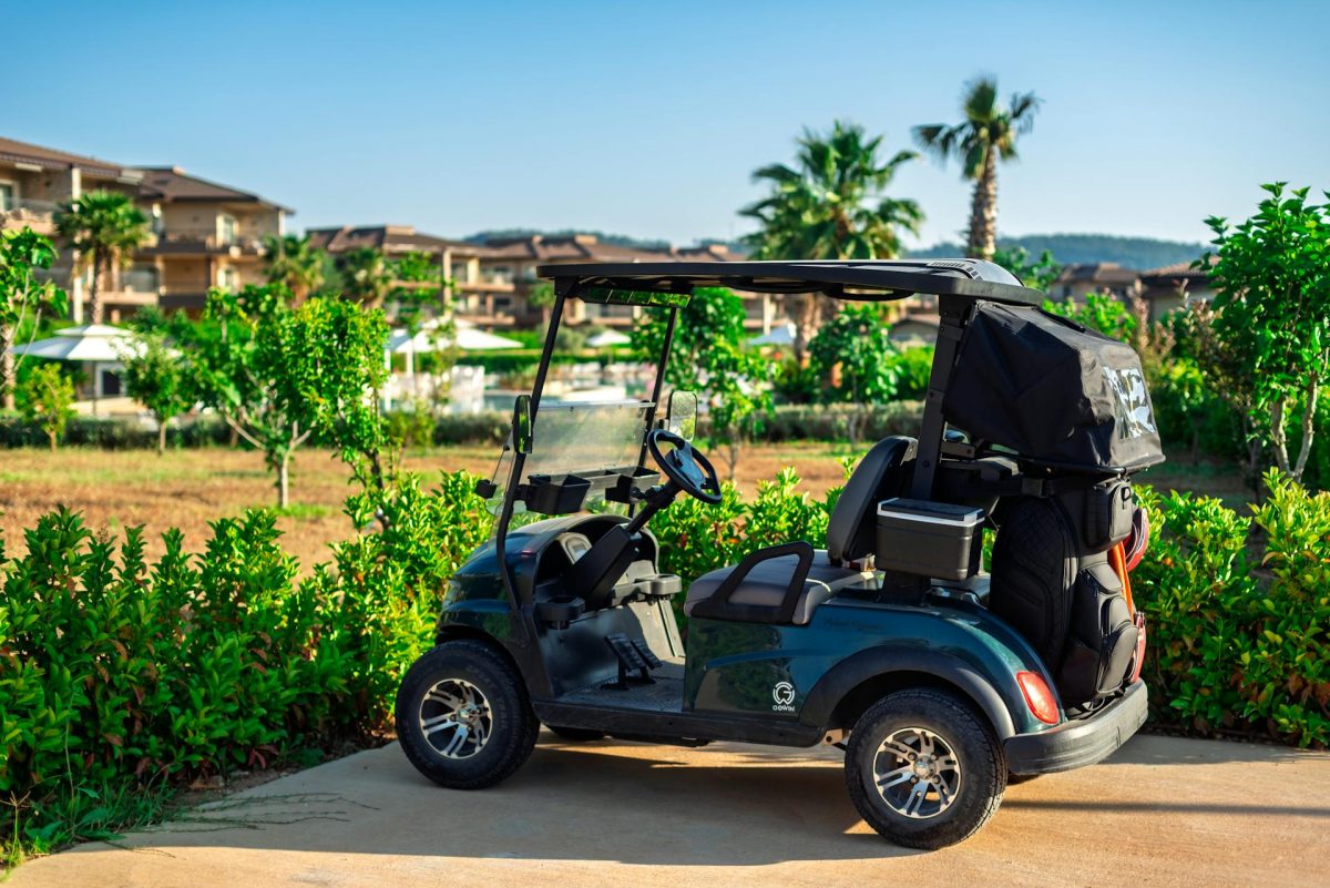 Essential Factors to Consider when Buying Your First Golf Cart | South ...